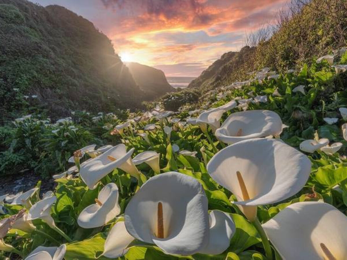 Spring: A Time For Renewing Your Spirit - Catholic Foundation for the ...