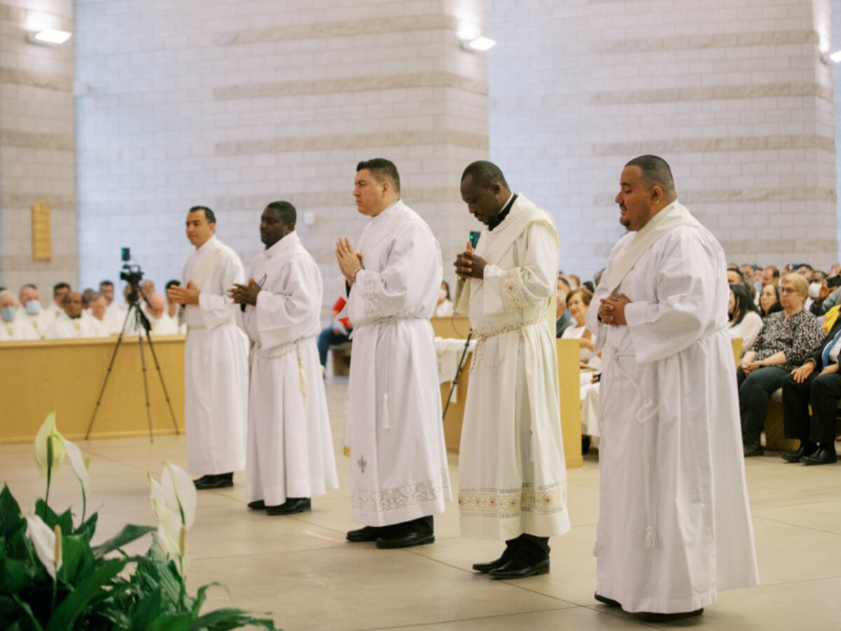 They're Ordained! What Comes Next? - Catholic Foundation for the ...